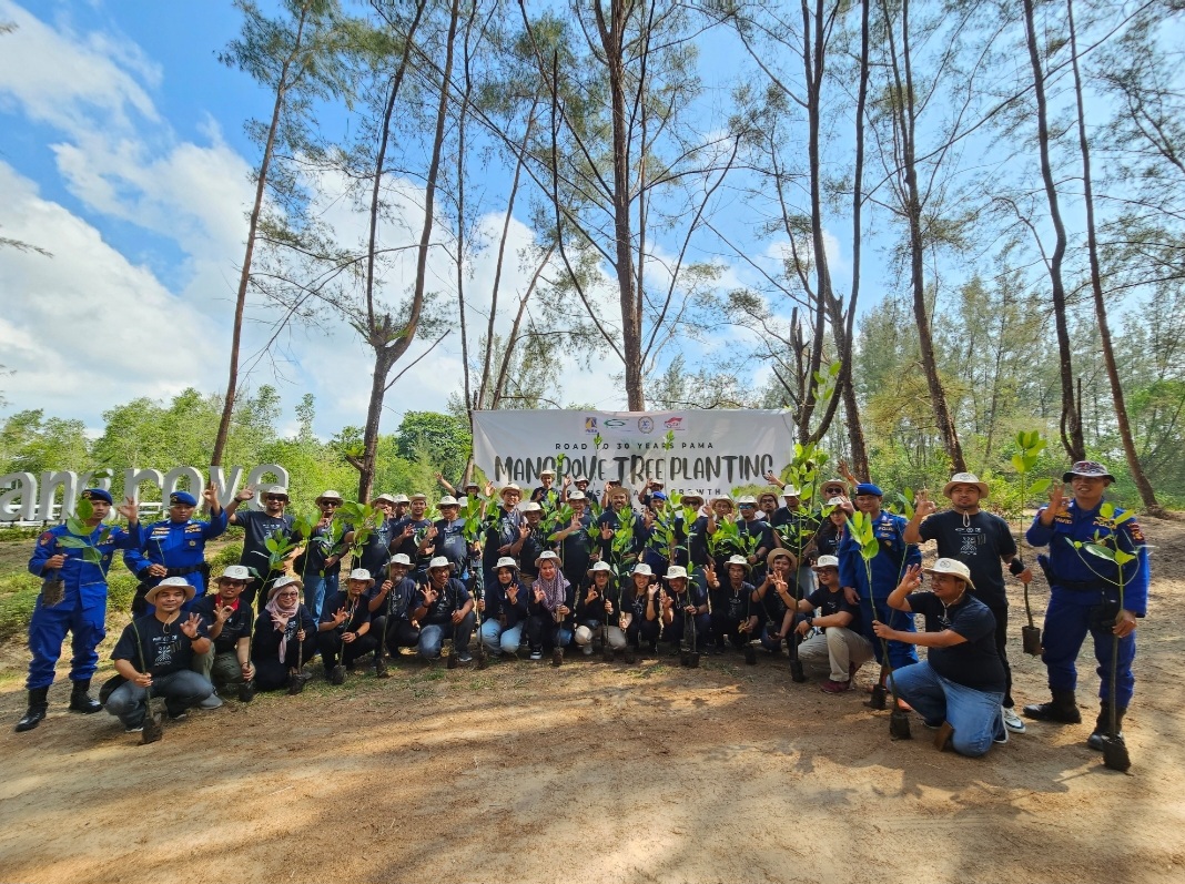 PT PAMA Bareng Wartawan Tanam Mangrove di Pantai Limaru - Jejak ...